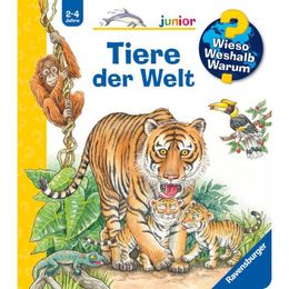 RAVENSBURGER VERLAG Wieso? Weshalb? Warum? junior, Band 73: Tiere der Welt