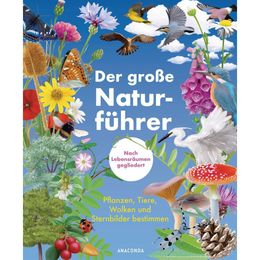 Der gro&szlig;e Naturf&uuml;hrer. Pflanzen, Tiere, Wolken und Sternbilder bestimmen. Nach L...