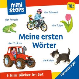 RAVENSBURGER VERLAG ministeps: Mein erster B&uuml;cher-W&uuml;rfel: Meine ersten W&ouml;rter (B&uuml;cher-Set)