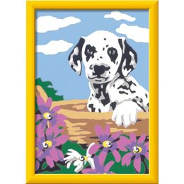 RAVENSBURGER VERLAG Ravensburger Malen nach Zahlen 20061 - Dalmatiner Welpe - Kinder ab 9 Jahren