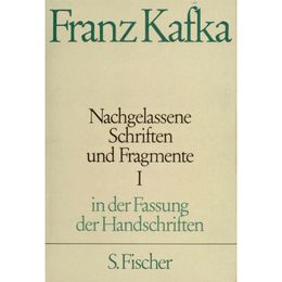Nachgelassene Schriften und Fragmente I