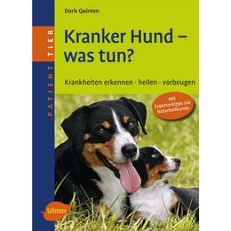 Kranker Hund - was tun?