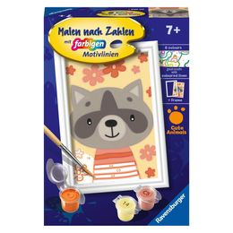 RAVENSBURGER VERLAG Ravensburger Malen nach Zahlen 20288 - Lieber Waschb&auml;r - Kinder ab 7 Jahren