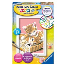 RAVENSBURGER VERLAG Ravensburger Malen nach Zahlen 29686 - Katzenbabys - Kinder ab 9 Jahren