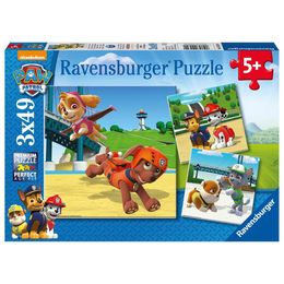 RAVENSBURGER VERLAG Team auf 4 Pfoten. Puzzle 3 x 49 Teile