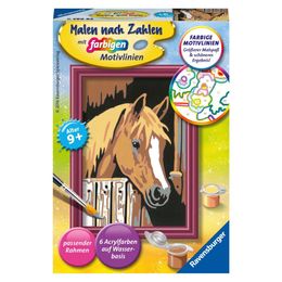 RAVENSBURGER VERLAG Ravensburger Malen nach Zahlen 29685 - Pferd im Stall - Kinder ab 9 Jahren