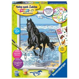 RAVENSBURGER VERLAG Pferd am Strand. Malen nach Zahlen Serie D Pferde