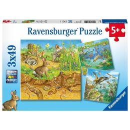 RAVENSBURGER VERLAG Tiere in ihren Lebensr&auml;umen - Puzzle mit 49 Teilen