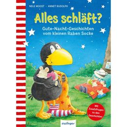 Esslinger Der kleine Rabe Socke: Alles schl&auml;ft?