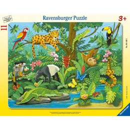 RAVENSBURGER VERLAG Ravensburger Tiere im Regenwald 11 Teile Rahmenpuzzle