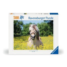 RAVENSBURGER VERLAG Erwachsenenpuzzle 500 Teile - Pferd im Rapsfeld