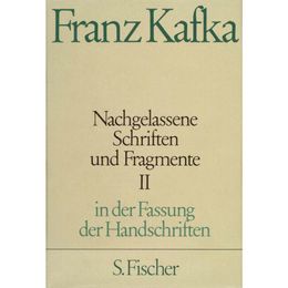Nachgelassene Schriften und Fragmente II