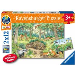 RAVENSBURGER VERLAG Ravensburger Kinderpuzzle - 05673 Tiere im Wald und auf der Wiese - 2x12 Teile +...