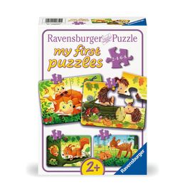RAVENSBURGER VERLAG 2, 4, 6, 8 Teile - Kleine Tierfamilien