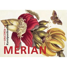 Postkarten-Set Maria Sibylla Merian