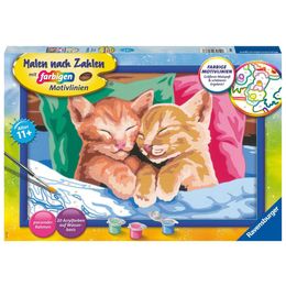 RAVENSBURGER VERLAG Ravensburger Malen nach Zahlen 28986 - Verschmuste K&auml;tzchen - Kinder ab 11 Jahre...