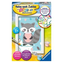 RAVENSBURGER VERLAG Ravensburger Malen nach Zahlen 28695- S&uuml;&szlig;er Waschb&auml;r - Kinder ab 7 Jahren