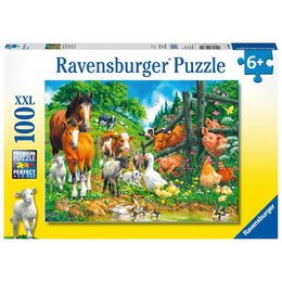 RAVENSBURGER VERLAG Versammlung der Tiere, Puzzle 100 Teile XXL