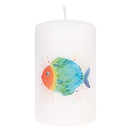 Stumpenkerze - Regenbogenfisch (1 St&uuml;ck)