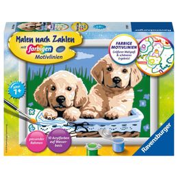 RAVENSBURGER VERLAG S&uuml;&szlig;e Hundewelpen Malen nach Zahlen Serie E