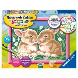 RAVENSBURGER VERLAG Ravensburger Malen nach Zahlen 27695 - Niedliche H&auml;schen - Kinder ab 7 Jahren