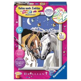 RAVENSBURGER VERLAG Pferdeliebe. Malen nach Zahlen Sonderserie E