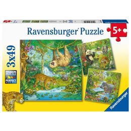 RAVENSBURGER VERLAG Ravensburger Kinderpuzzle 05180 - Im Urwald - 3x49 Teile Puzzle f&uuml;r Kinder ab 5 ...