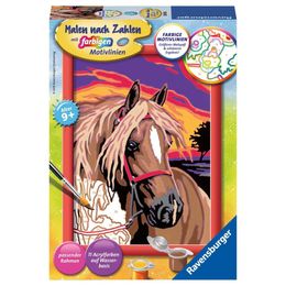 RAVENSBURGER VERLAG Pferdetraum. Malen nach Zahlen Serie E