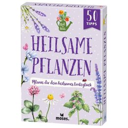 Blatt & Bl&uuml;te Heilsame Pflanzen
