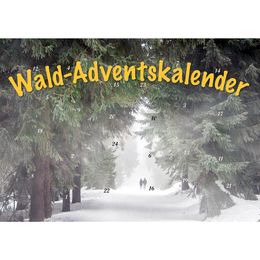 Durch den Wald im Advent