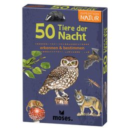 50 Tiere der Nacht