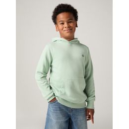 LEVI'S KIDS Jungen Hoodie "LVB MINI BATWING PULL OVER HOO"cameo gr&uuml;n, Gr. 14, Sweatware, Obermaterial: 60% Baumwolle, 40% Polyester, Sweatshirts, for