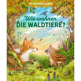 Oetinger Wie wohnen die Waldtiere?