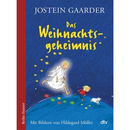 dtv Verlagsgesellschaft Das Weihnachtsgeheimnis
