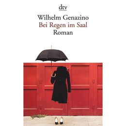 dtv Verlagsgesellschaft Bei Regen im Saal