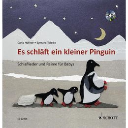 Es schl&auml;ft ein kleiner Pinguin
