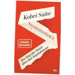 dtv Verlagsgesellschaft Systemsturz