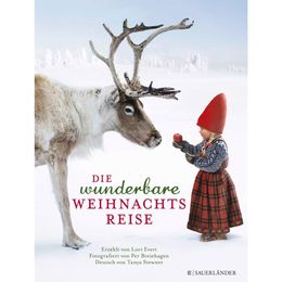 Die wunderbare Weihnachtsreise