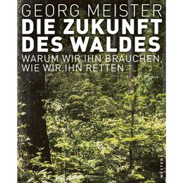 Die Zukunft des Waldes