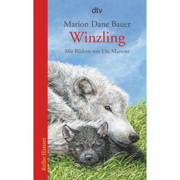 dtv Verlagsgesellschaft Winzling