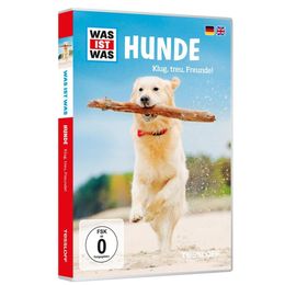 Tessloff Verlag WAS IST WAS DVD Hunde. Klug, treu, Freunde!