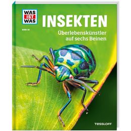Tessloff Verlag WAS IST WAS Band 30 Insekten. &Uuml;berlebensk&uuml;nstler auf sechs Beinen