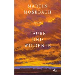 dtv Verlagsgesellschaft Taube und Wildente