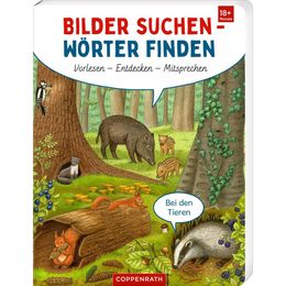 Coppenrath Bilder suchen - W&ouml;rter finden: Vorlesen - Entdecken - Mitsprechen