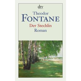 dtv Verlagsgesellschaft Der Stechlin