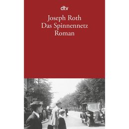 dtv Verlagsgesellschaft Das Spinnennetz