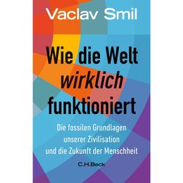 Wie die Welt wirklich funktioniert
