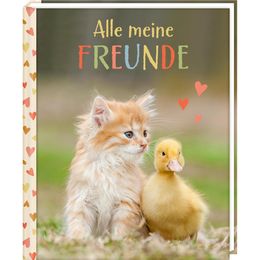 Coppenrath Freundebuch - Alle meine Freunde