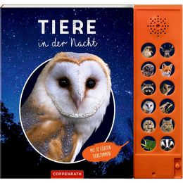 Coppenrath Tiere in der Nacht