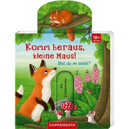 Coppenrath Komm heraus, kleine Maus! Bist du im Wald?